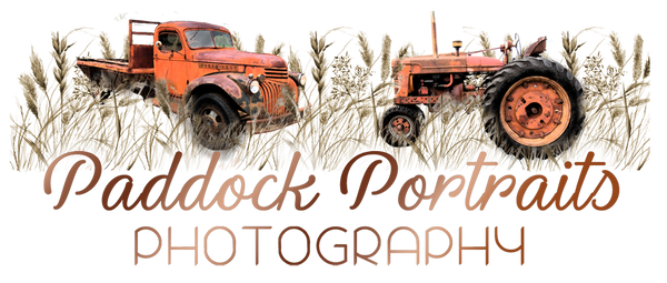 Paddock Portraits Photography