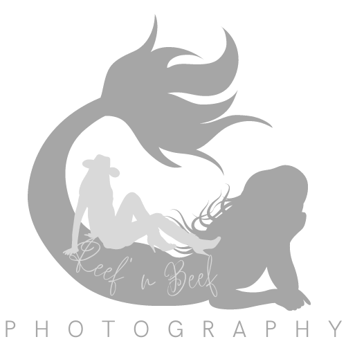 Reef 'n' Beef Photography