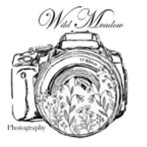 Wild Meadow Photography