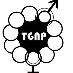 TANZANIA GENDER NETWORKING PROGRAMME (TGNP)
