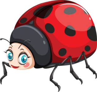 Ladybug Ranch Photography