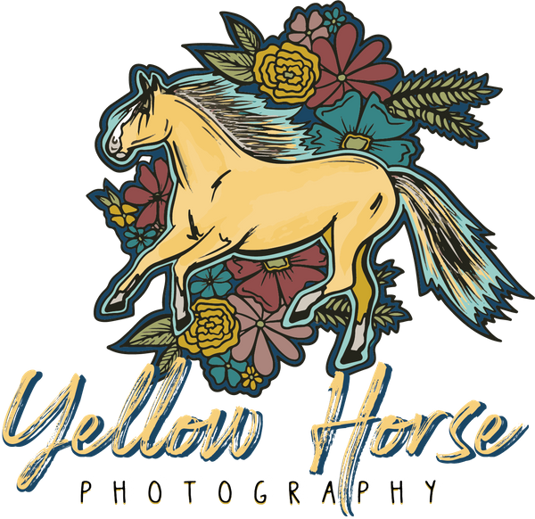 Yellow Horse Photography