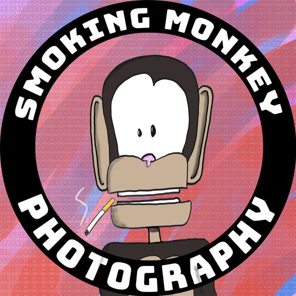 Smoking Monkey Pictures