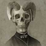 Thomas G Anderson Photography