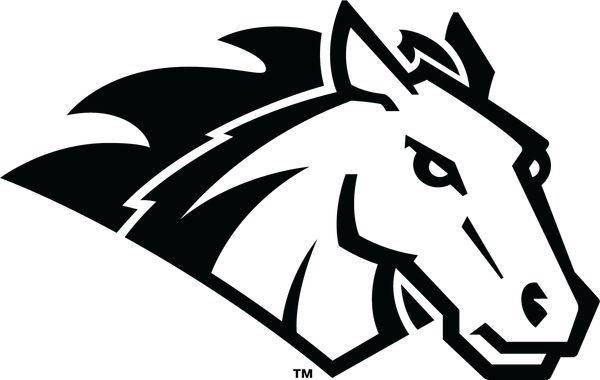 Stevenson University Athletics