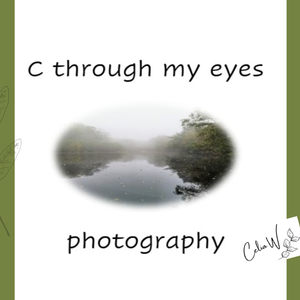 C through my eyes photography
